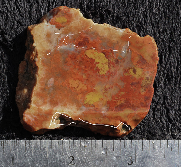 Coprolite Rock Slab 50 – DD Rocks