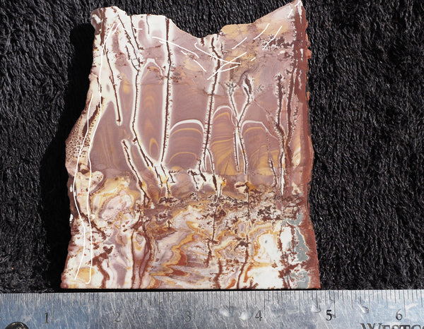 Sonoran Dendritic Rhyolite Slab 0201 – DD Rocks