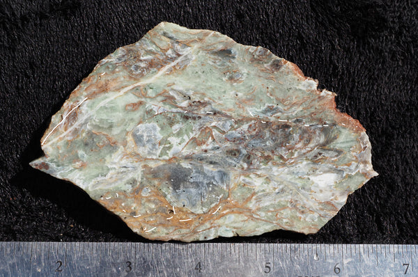 Plasma Agate Slab 39 – DD Rocks