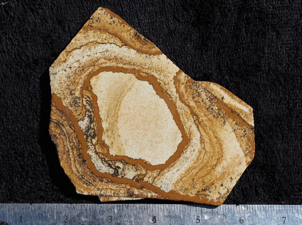 African Queen Picture Jasper Slab 33 – DD Rocks