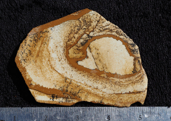 African Queen Picture Jasper Slab 45 – DD Rocks