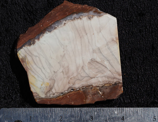 Willow Creek Jasper Rock Slab 0203 – DD Rocks