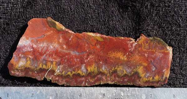 Bullion Mountain Plume Agate Rock Slab 3 – DD Rocks