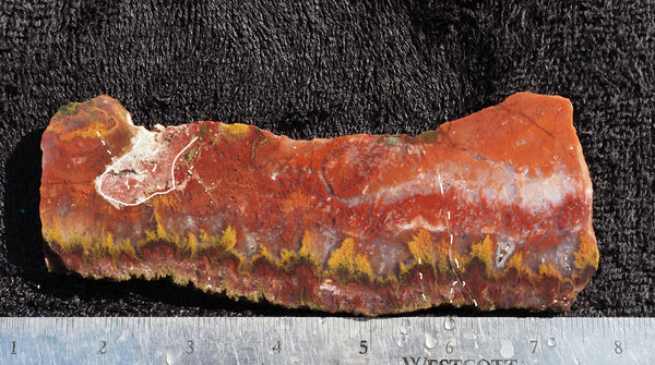 Bullion Mountain Plume Agate Rock Slab 4 – DD Rocks