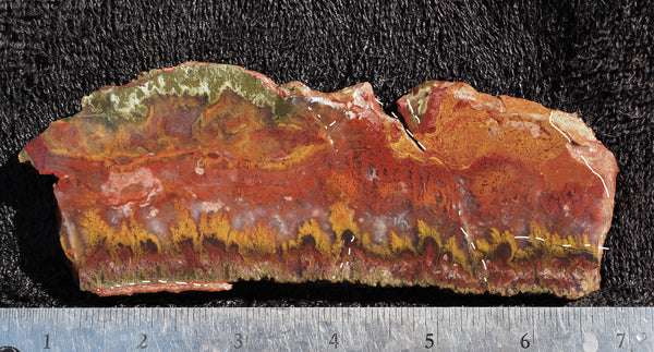 Bullion Mountain Plume Agate Rock Slab 5 – DD Rocks