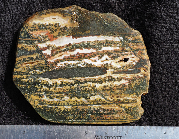 Ocean Jasper Rock slab 0303 – DD Rocks