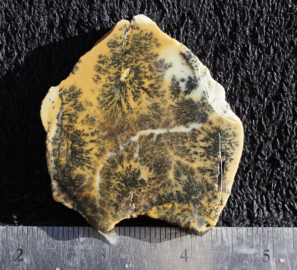 Dendritic Opal Rock Slab 10 – DD Rocks