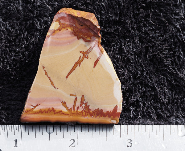 Red Falcon Jasper Slab 0202 – DD Rocks