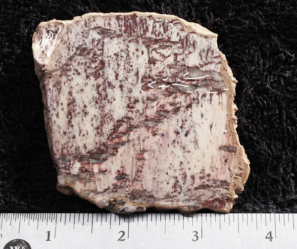 Alunite Rock Slab 07 – DD Rocks