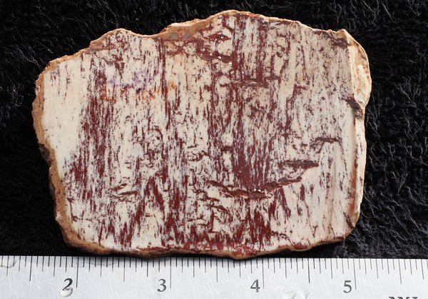 Alunite Rock Slab 02 – DD Rocks