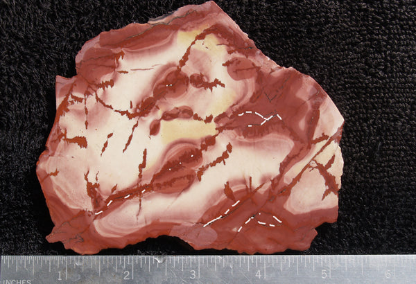 Red Falcon Jasper Slab 11 – DD Rocks