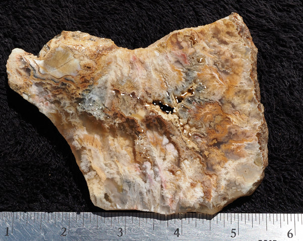 Graveyard Point Plume Agate Rock slab 0202 – DD Rocks