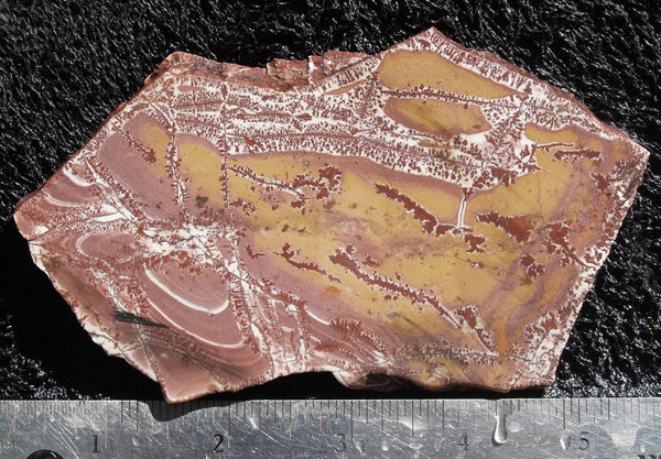 Sonoran Dendritic Rhyolite Slab 36 – DD Rocks