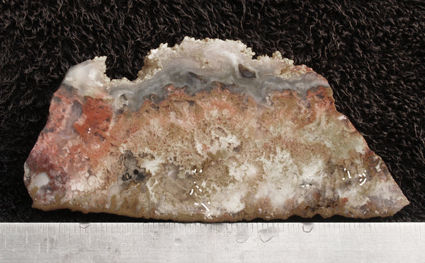 Graveyard Point Plume Agate Rock slab 0107 – DD Rocks