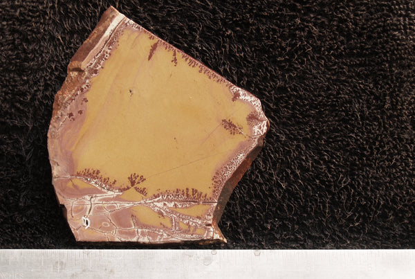 Sonoran Dendritic Rhyolite Slab 39 – DD Rocks