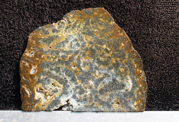 Marcasite Plume Rock Slab 03 – DD Rocks