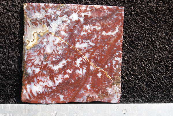 Red Lightning agate slab 42 – DD Rocks