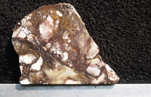 Wild Horse Magnesite Rock Slab 108 – DD Rocks