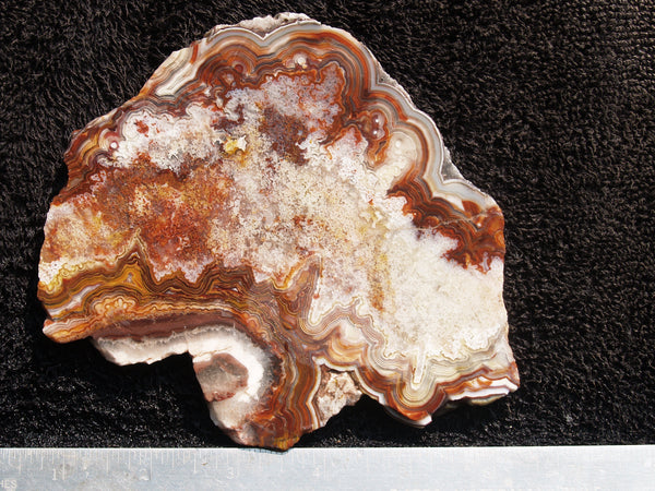 Laguna Lace Agate Slab 76 – DD Rocks