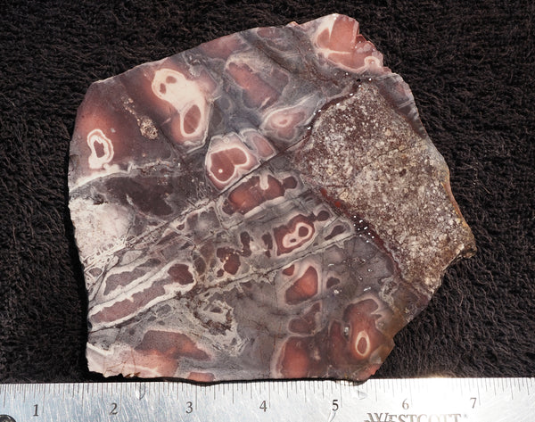 Exotica Jasper Rock slab 45 – DD Rocks