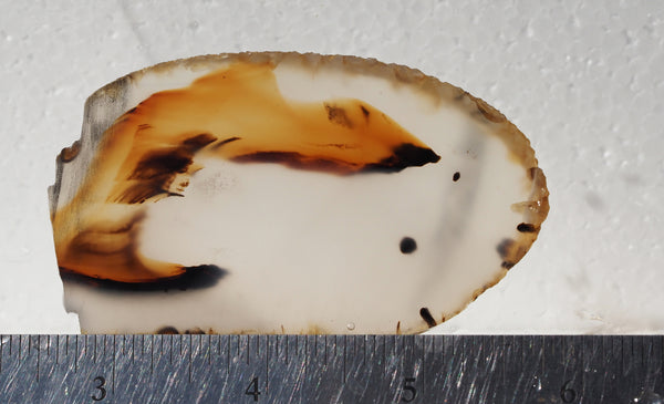 Montana Agate Rock Slab 494 – DD Rocks