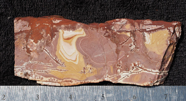 Sonoran Dendritic Rhyolite Slab 41 – DD Rocks