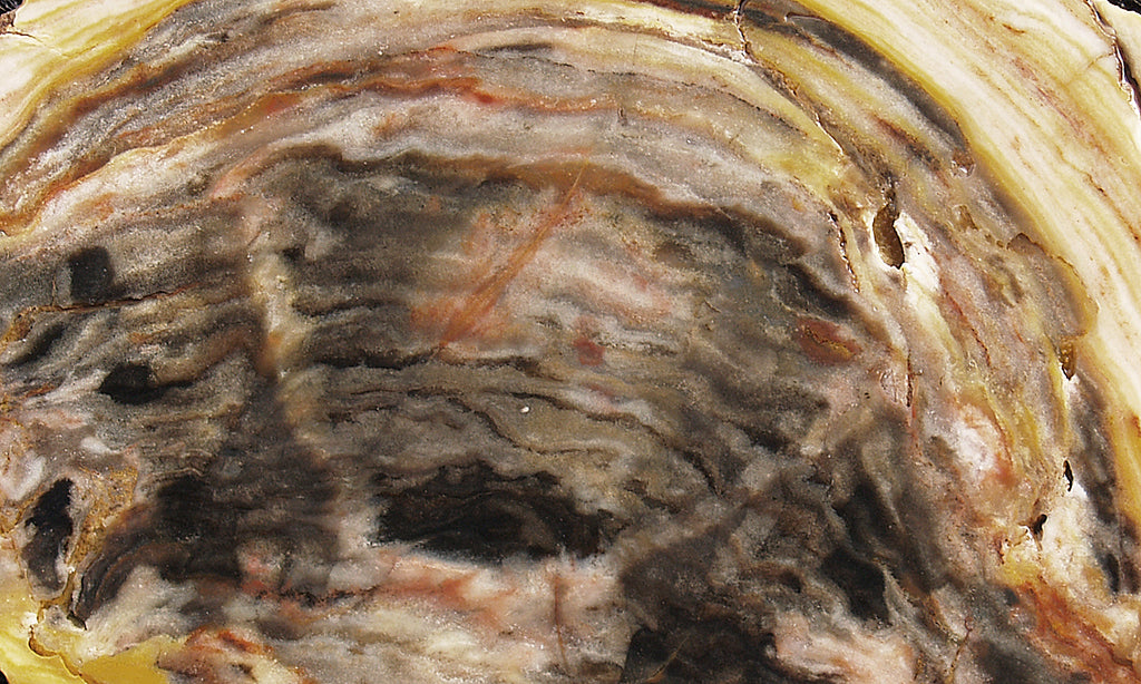 Larsonite Slab 07 – DD Rocks